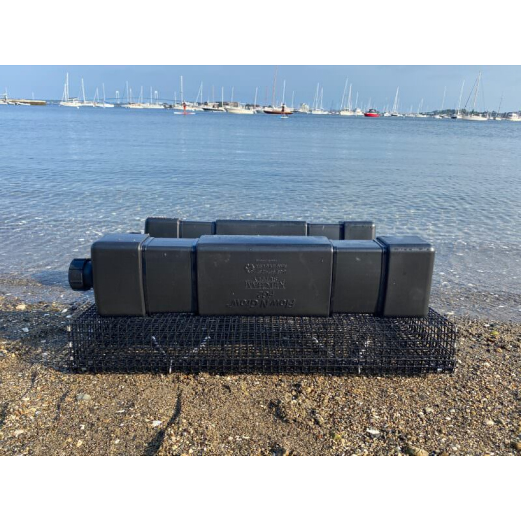 Products – Outlaw Oysters