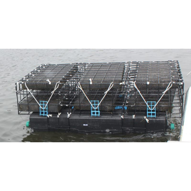 Floating Cages – Outlaw Oysters