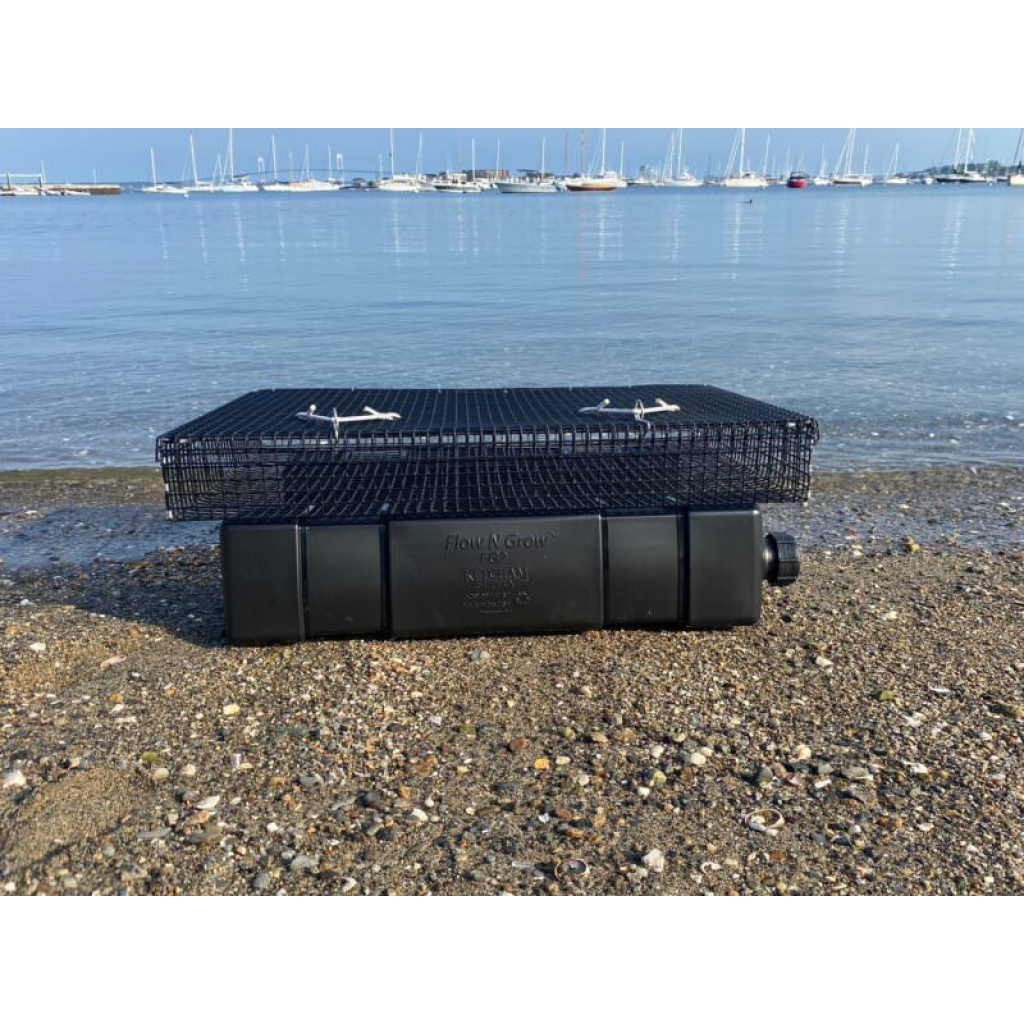 Floating Cages – Outlaw Oysters