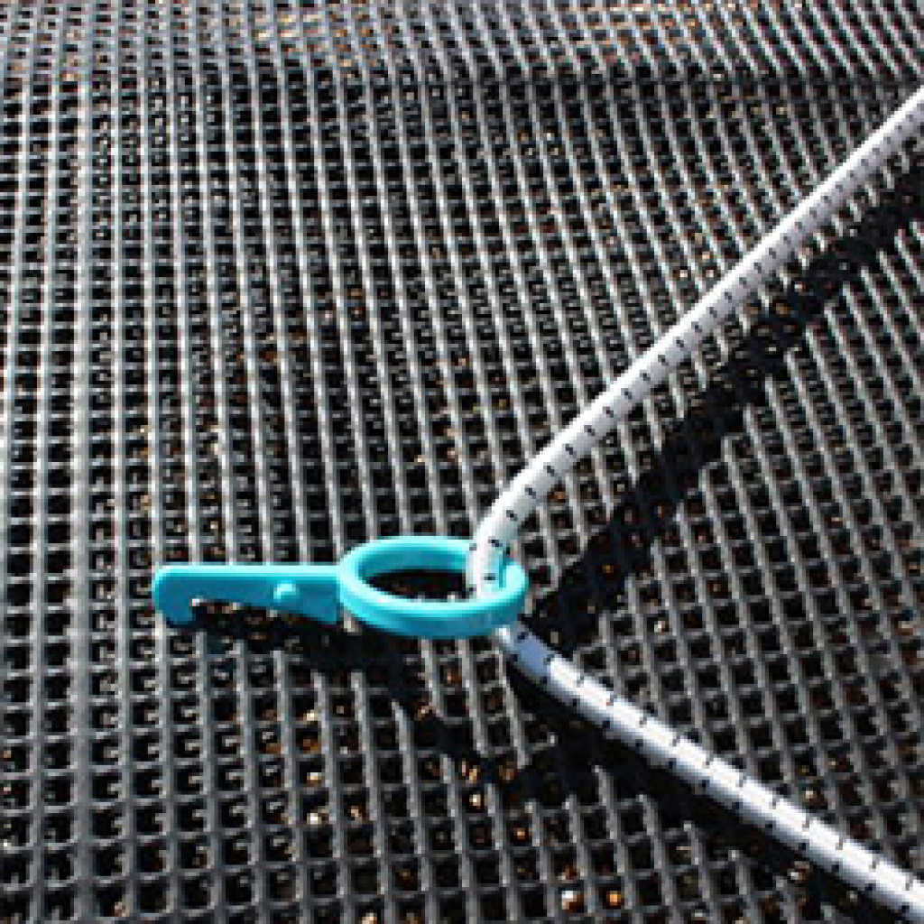 Plastic Hook – Outlaw Oysters